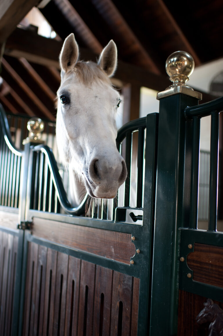 Home - The Stables At LeBocage