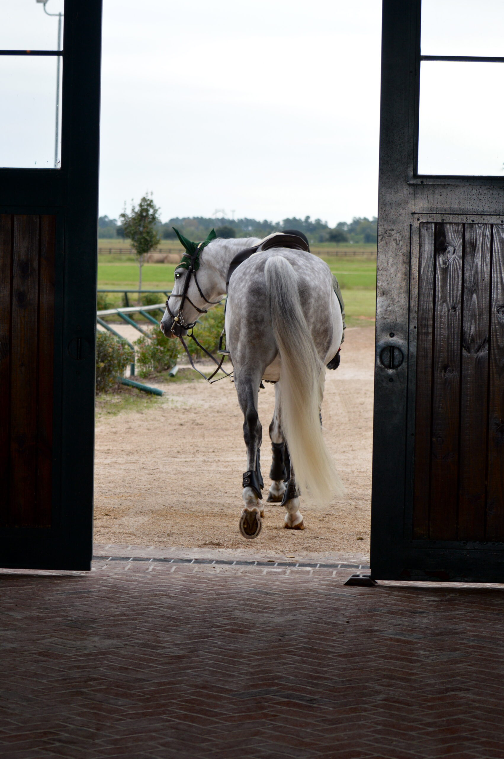 Gallery - The Stables At LeBocage